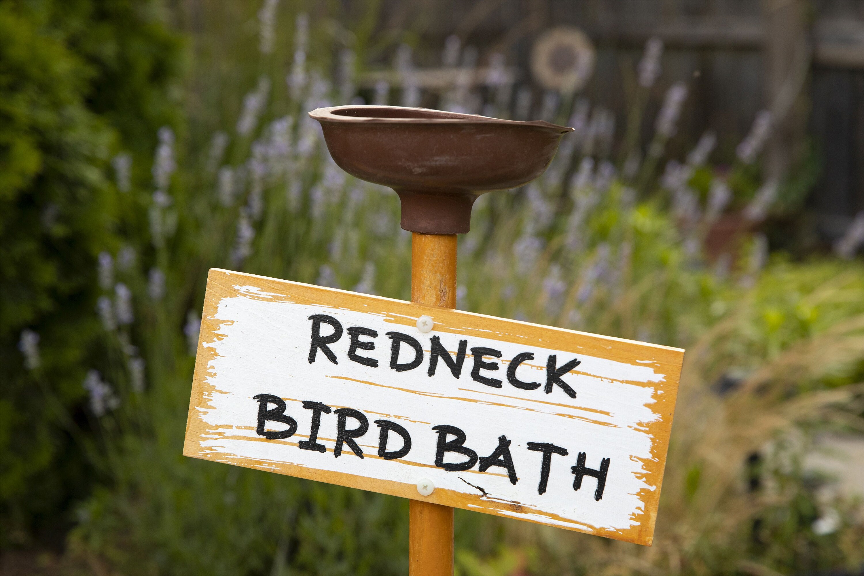 Redneck Toilet Plunger Bird Feeder Bird Bath Reversible Sign - Etsy