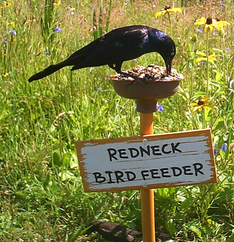 Redneck Toilet Plunger Bird Feeder Bird Bath Reversible Sign - Etsy