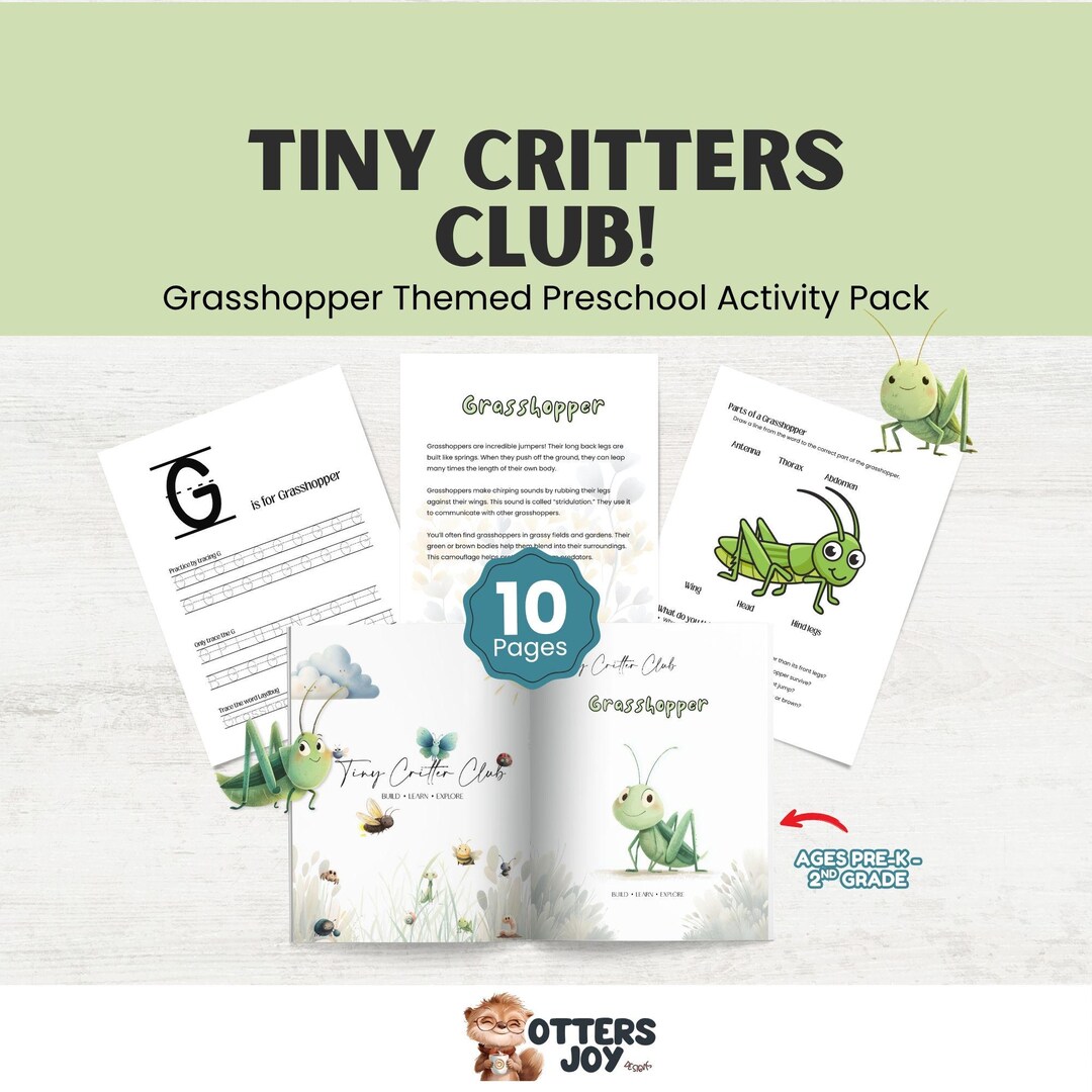 Grasshopper Preschool Learning Pack Printable | 10 Page Toddler ...