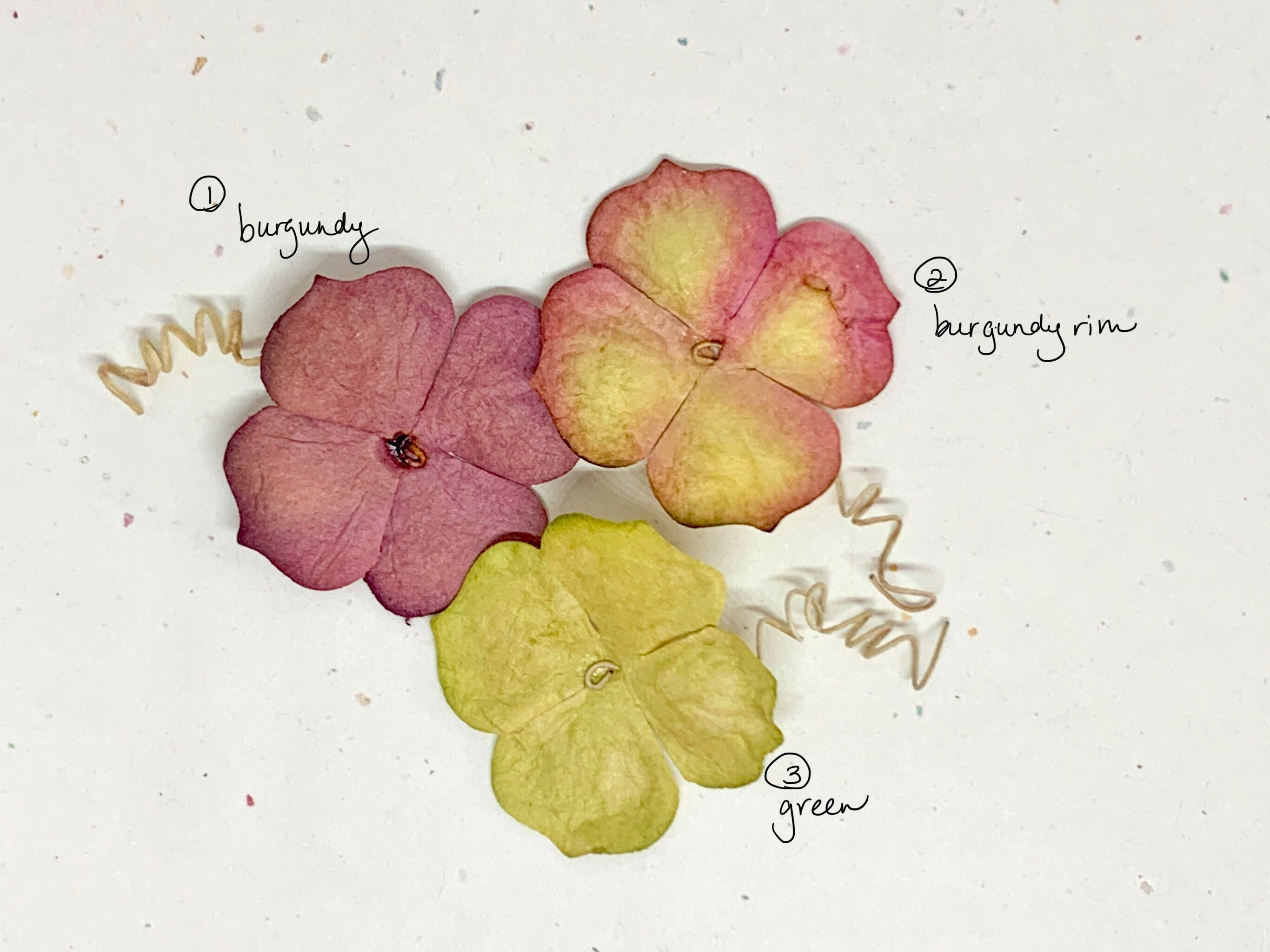 Paper Flowers, Vintage Hand Dyed, Paper Crafting, Scrapbooking, Junk ...