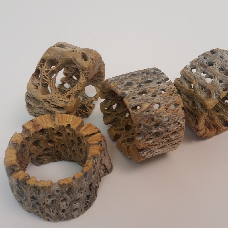 Cactus Ring Holder - Etsy