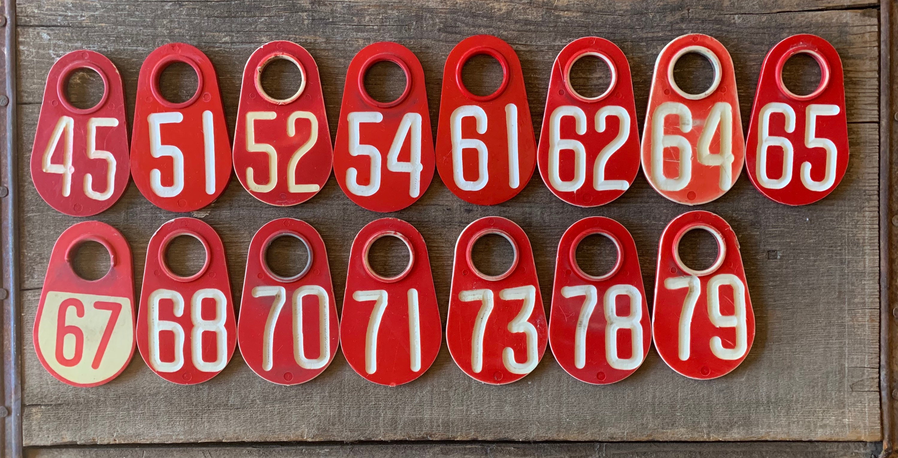 Vintage Cow Tags Red And White Plastic Dairy Tag For | Etsy