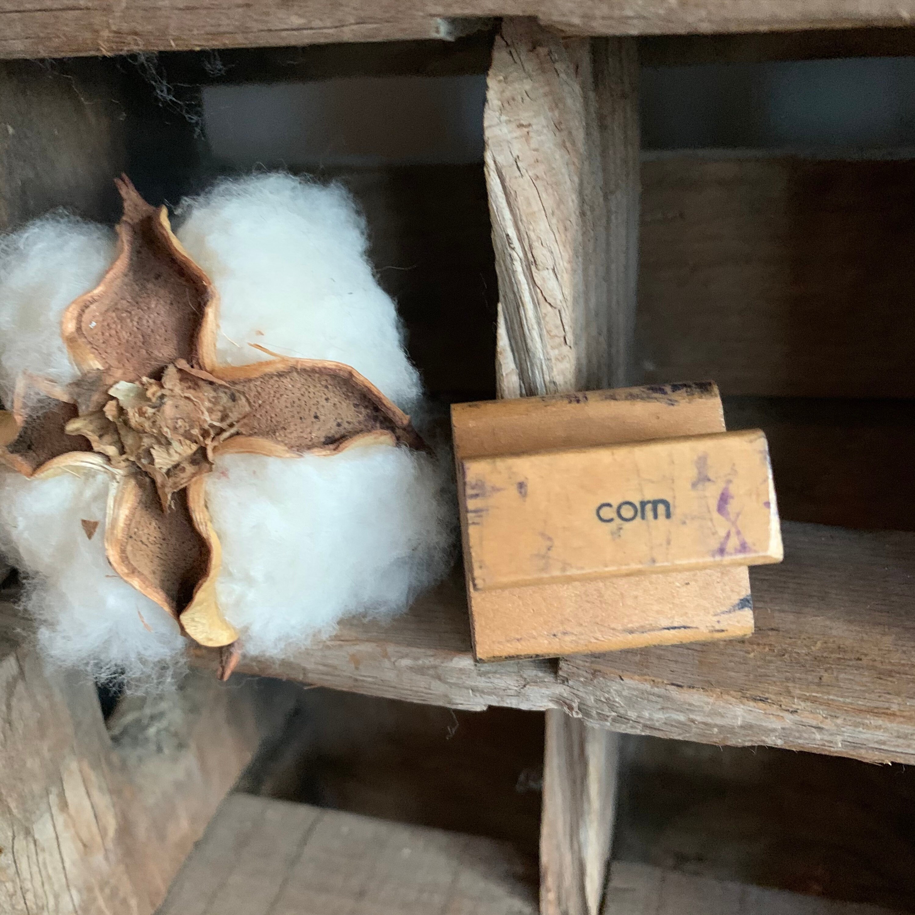 Vintage Rubber Corn Stamp Corn In Husk Corn On The Cob | Etsy