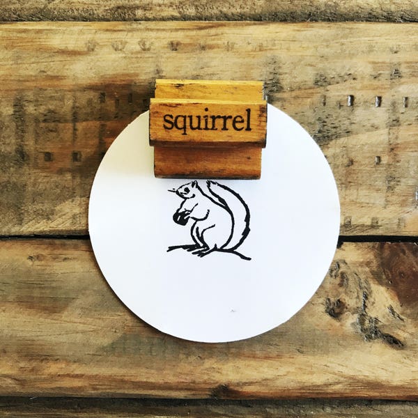 Squirrel Stamp - Etsy