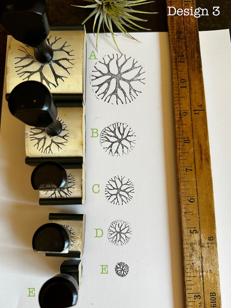 Vintage Circular Pattern Stamps, Nature Fractal Designs for Self Care ...