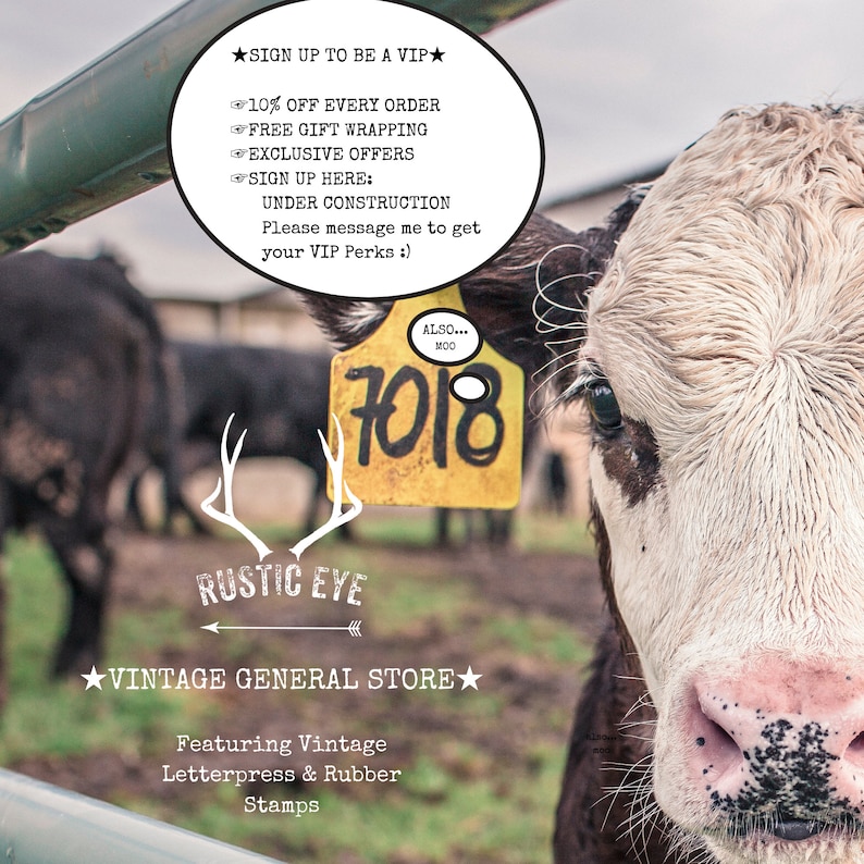 Vintage Cow Tags Red and White Plastic Dairy Tag for | Etsy