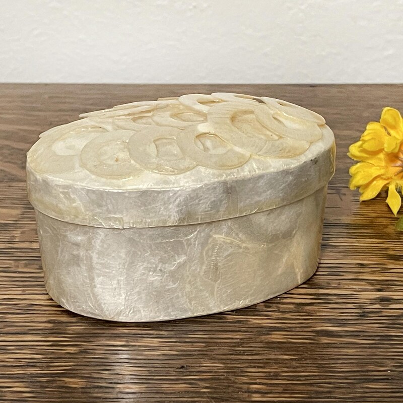 Capiz Shell Jewelry - Etsy