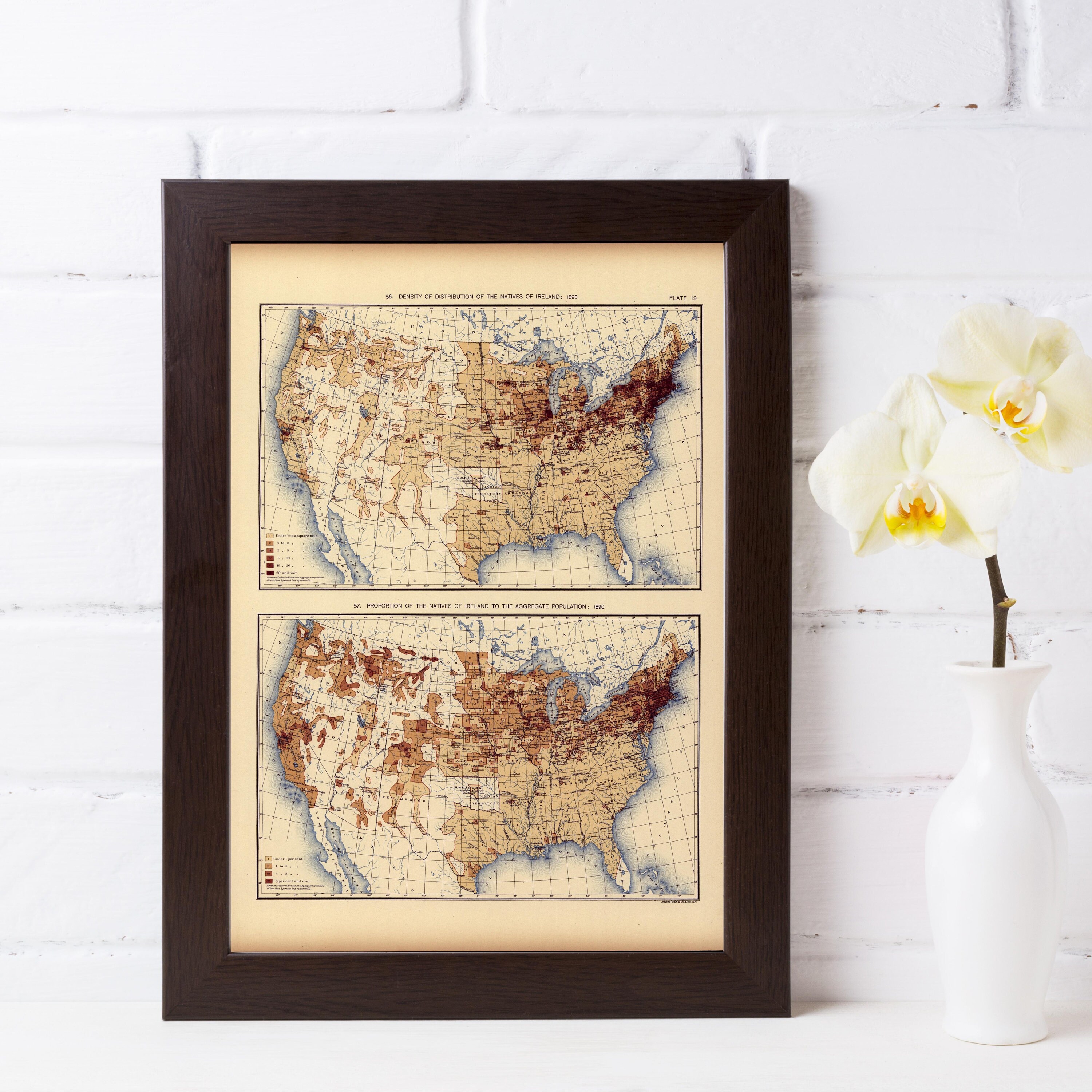 Map of the Density of Distribution of the Natives of Ireland 1898 ...