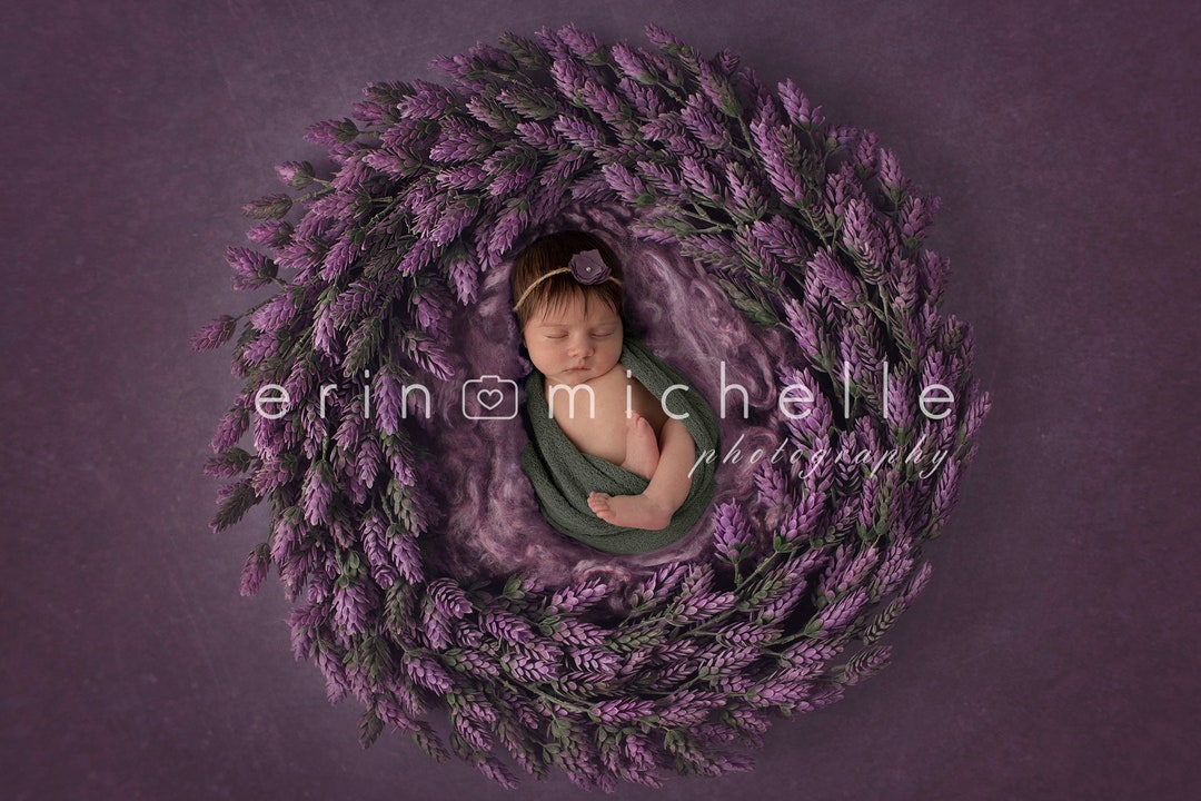 Newborn Digital Backdrop, Newborn Digital Background, Newborn Backdrop ...