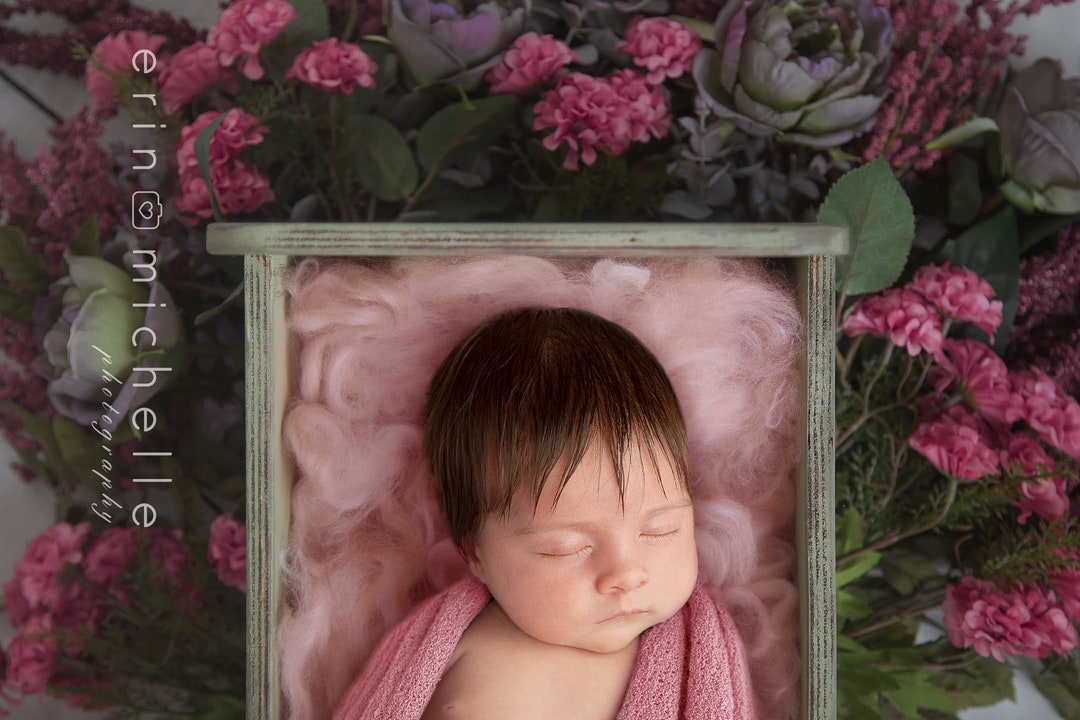 Newborn Digital Backdrop Newborn Digital Backgroundnewborn - Etsy