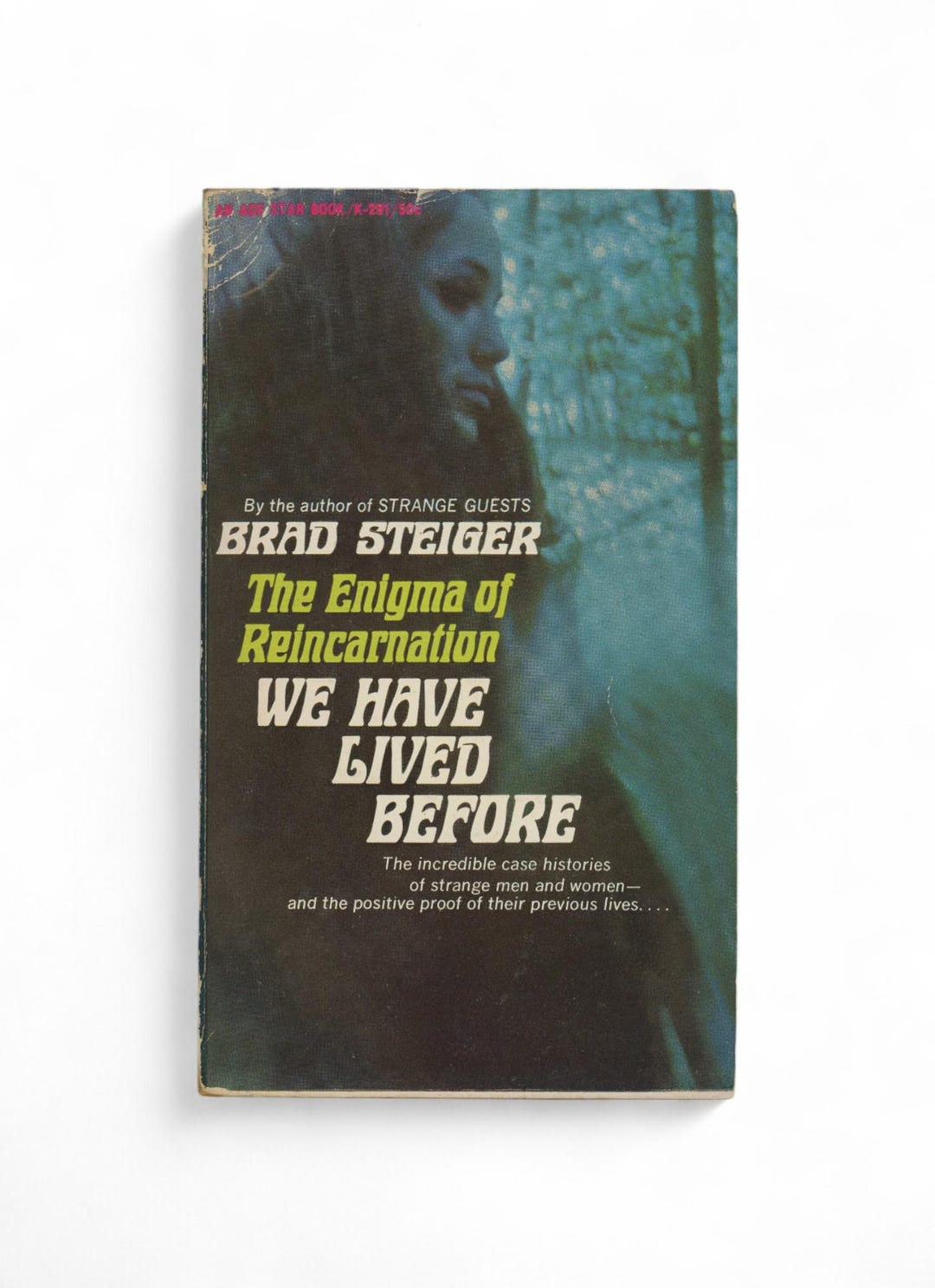 The Enigma of Reincarnation We Have Lived Before by Brad Steiger ...