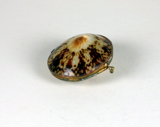 Vintage Limpet Shell Hinged Pill Box Coin Purse Snuff Box Trinket Ring ...