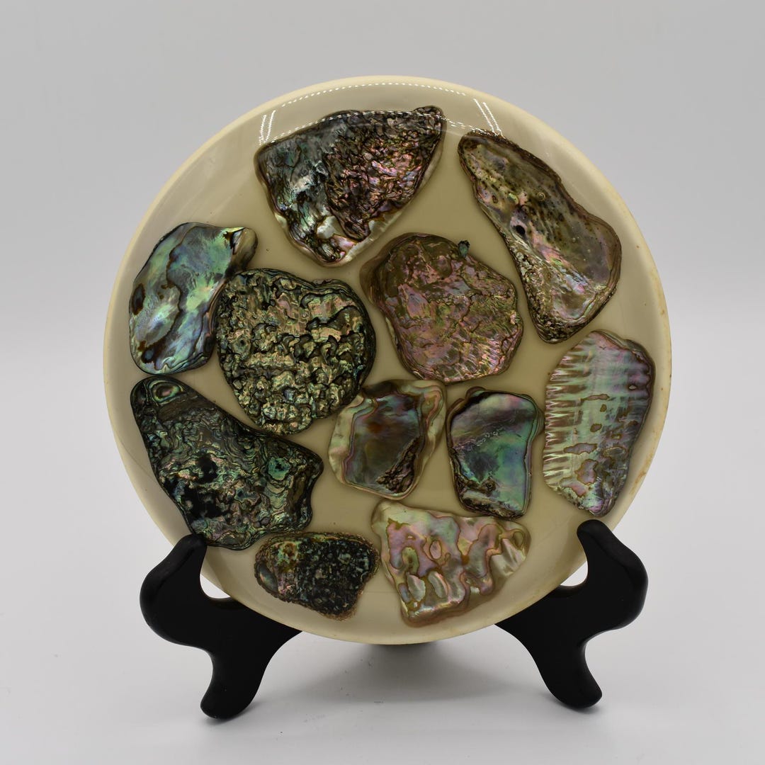 Abalone Shell Acrylic Trivet Hotplate New Trends Industries ©MCMLXIX ...