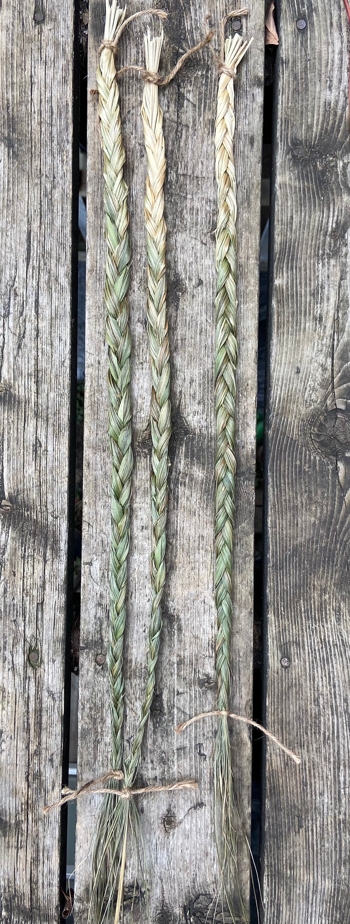 3 Braids of Sweetgrass Bundle. Homegrown. - Etsy