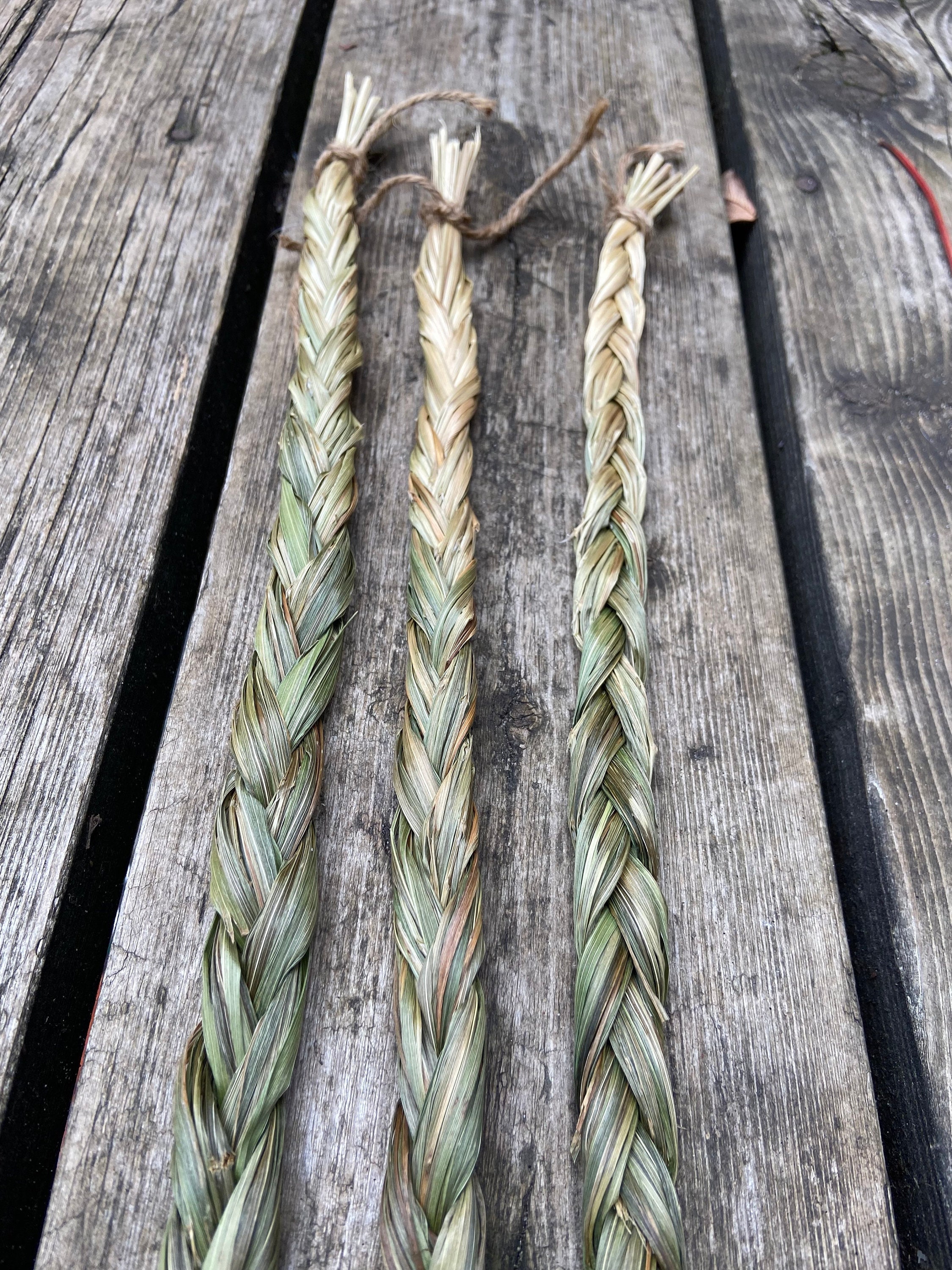 3 Braids of Sweetgrass Bundle. - Etsy