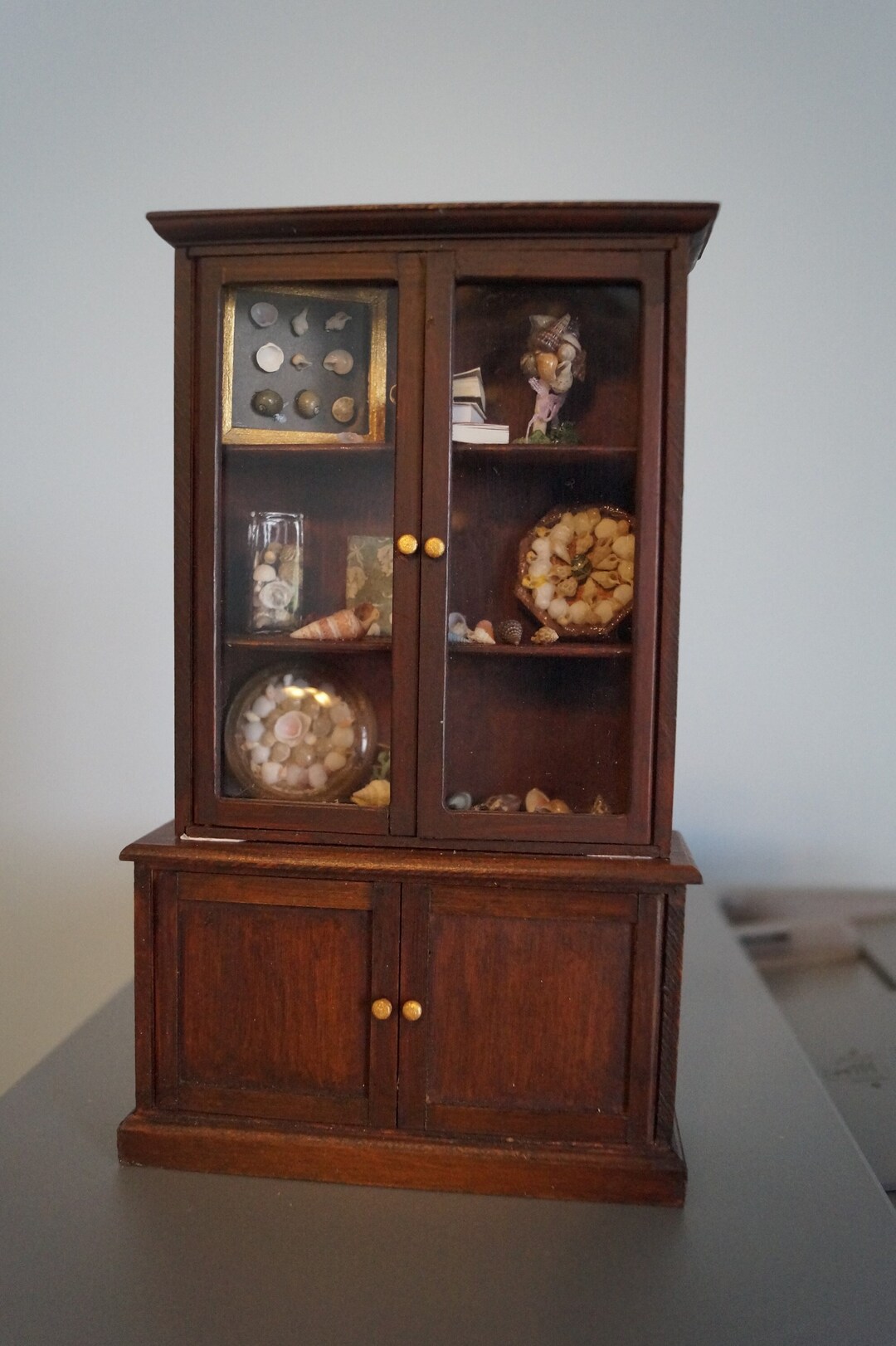 Seashell Cabinet 1:12 for Gift Shop or Seashell Collector - Etsy