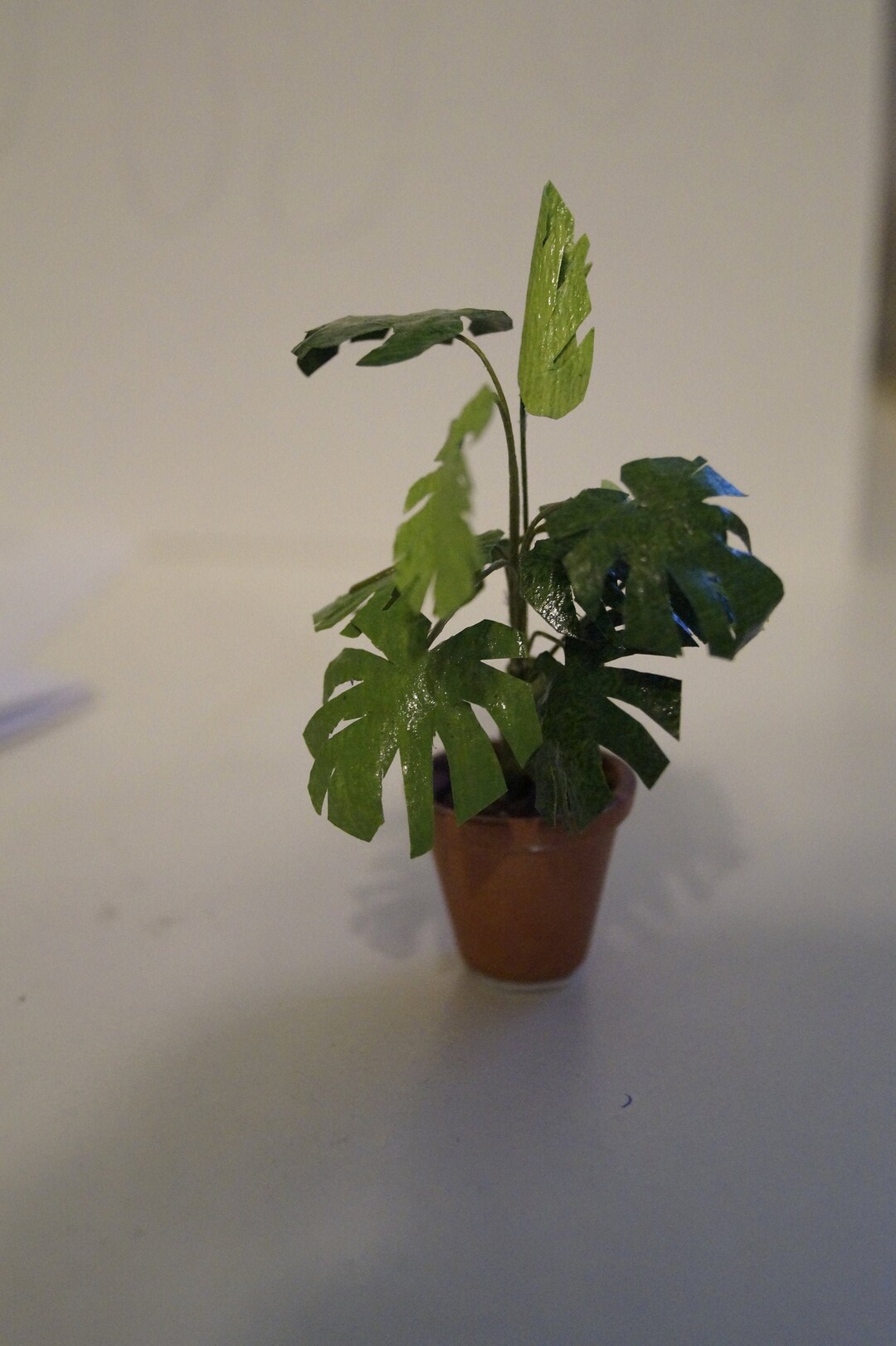 Miniature Monstera Deliciosa 1:12 for Dollhouse - Etsy