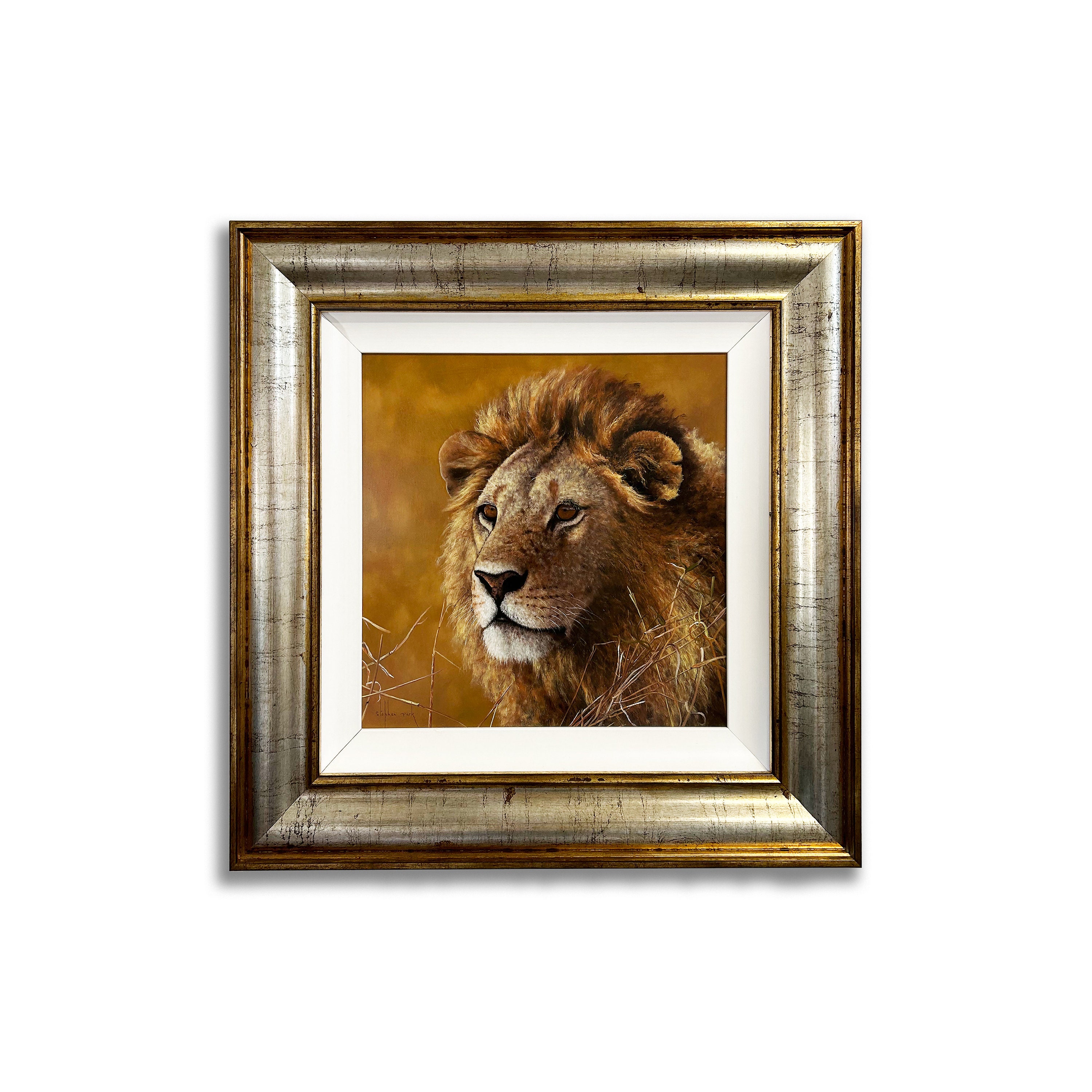 Original Oil Painting // Stephen Park // Lion // Framed - Etsy