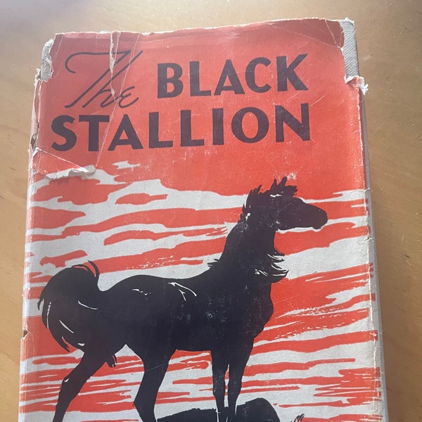 The Black Stallion - Etsy