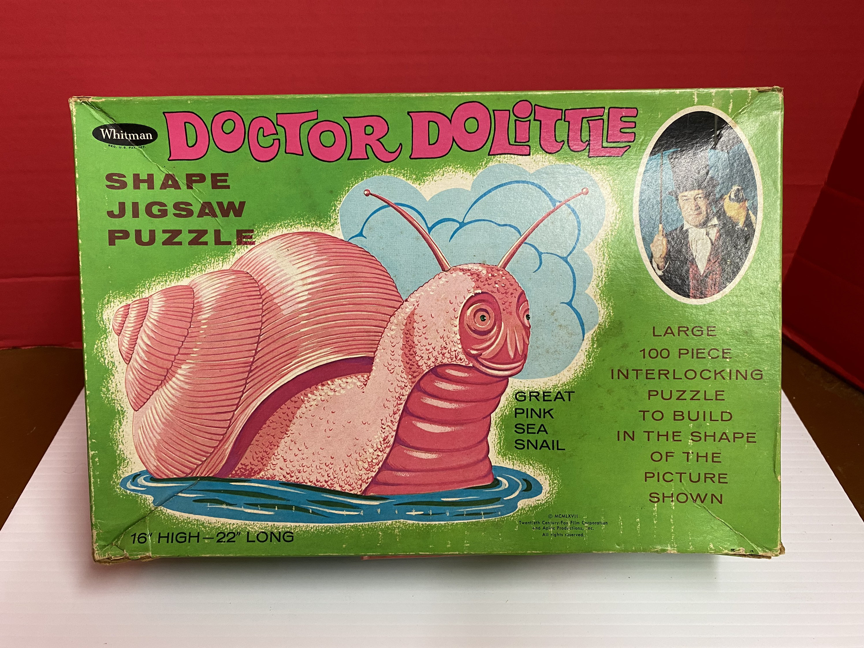 Great Pink Sea Snail