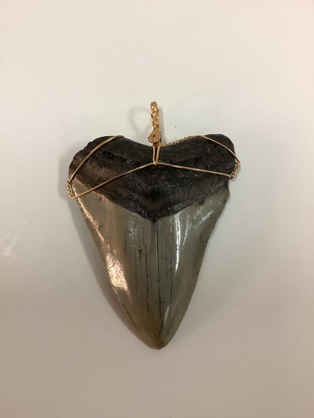 Megalodon Tooth Pendant - Etsy