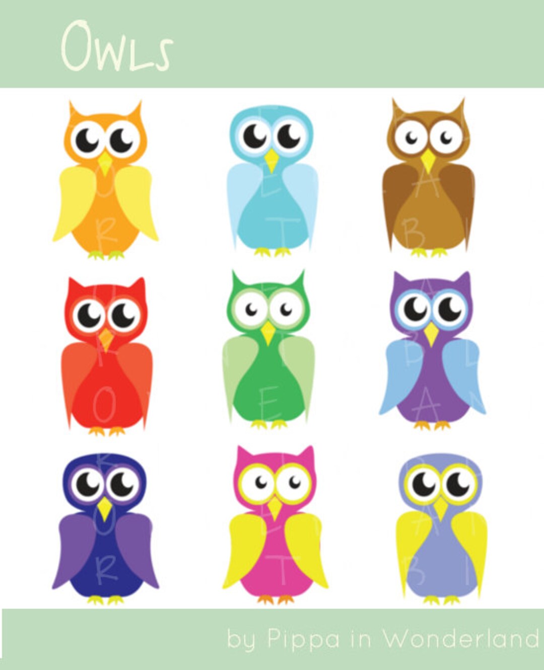 Owl Clip Art 9 Images of Colourful Owls 300 Dpi .png File - Etsy