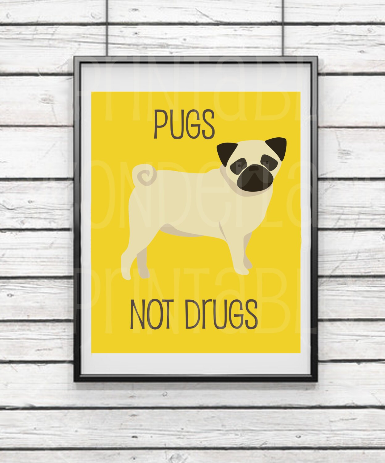 Pugs Not Drugs