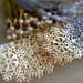 Winter Wedding Handmade Favors Snowflake Wedding Favor SET