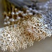 Winter Wedding Wish Tree With Snowflake Favors Wedding Favors and Guest ...