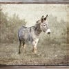 Donkey Wall Art, Donkey Wall Canvas, Nursery Donkey Print, Burro Art ...