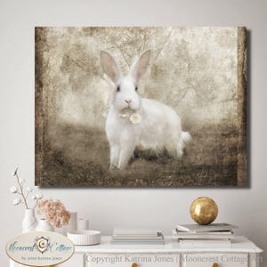 White Bunny Rabbit Art Print - French Country Farm Artwork, Bunny ...