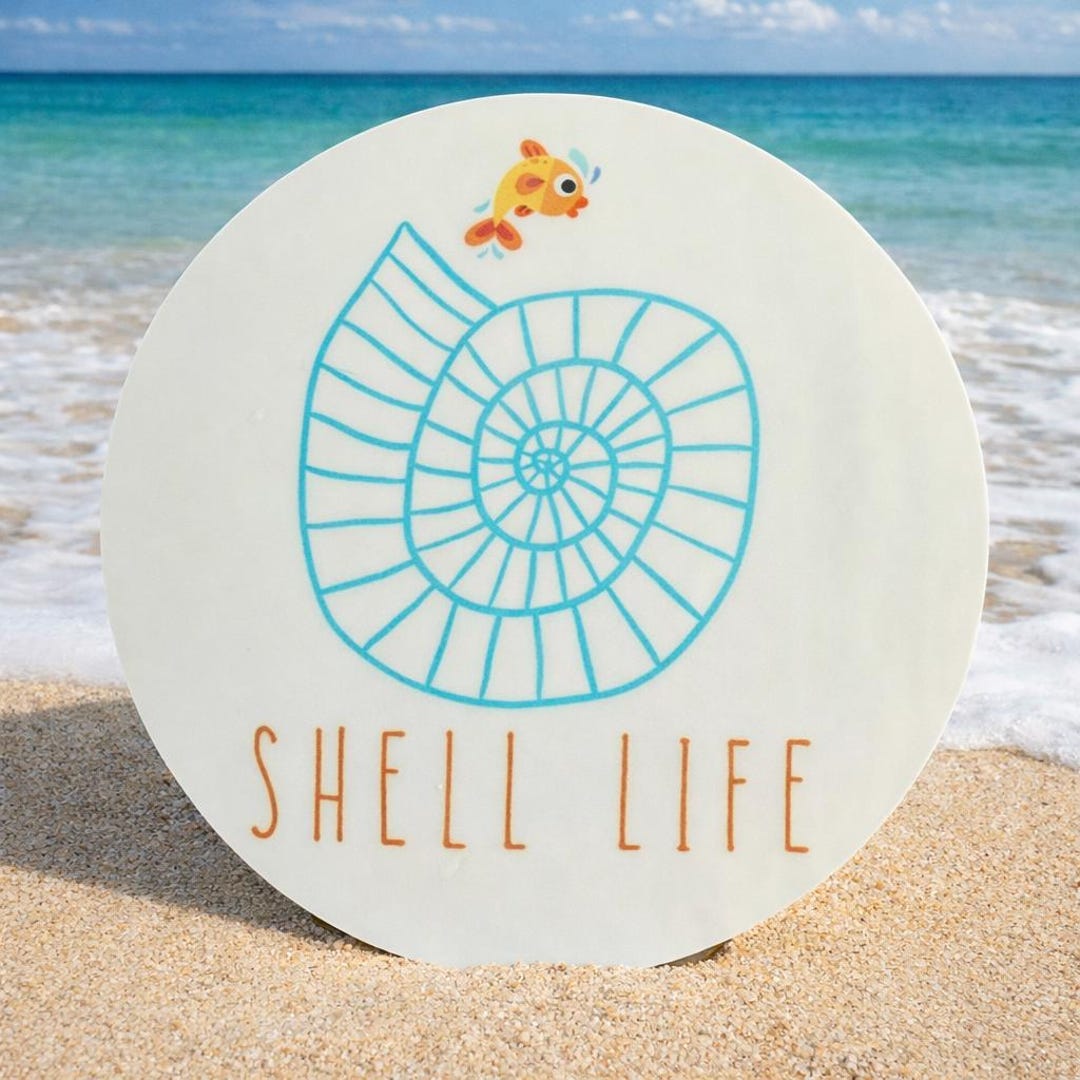 Fun "shell Life" Vinyl Sticker/ Decal: Seashell, Summer, Beach, Car ...