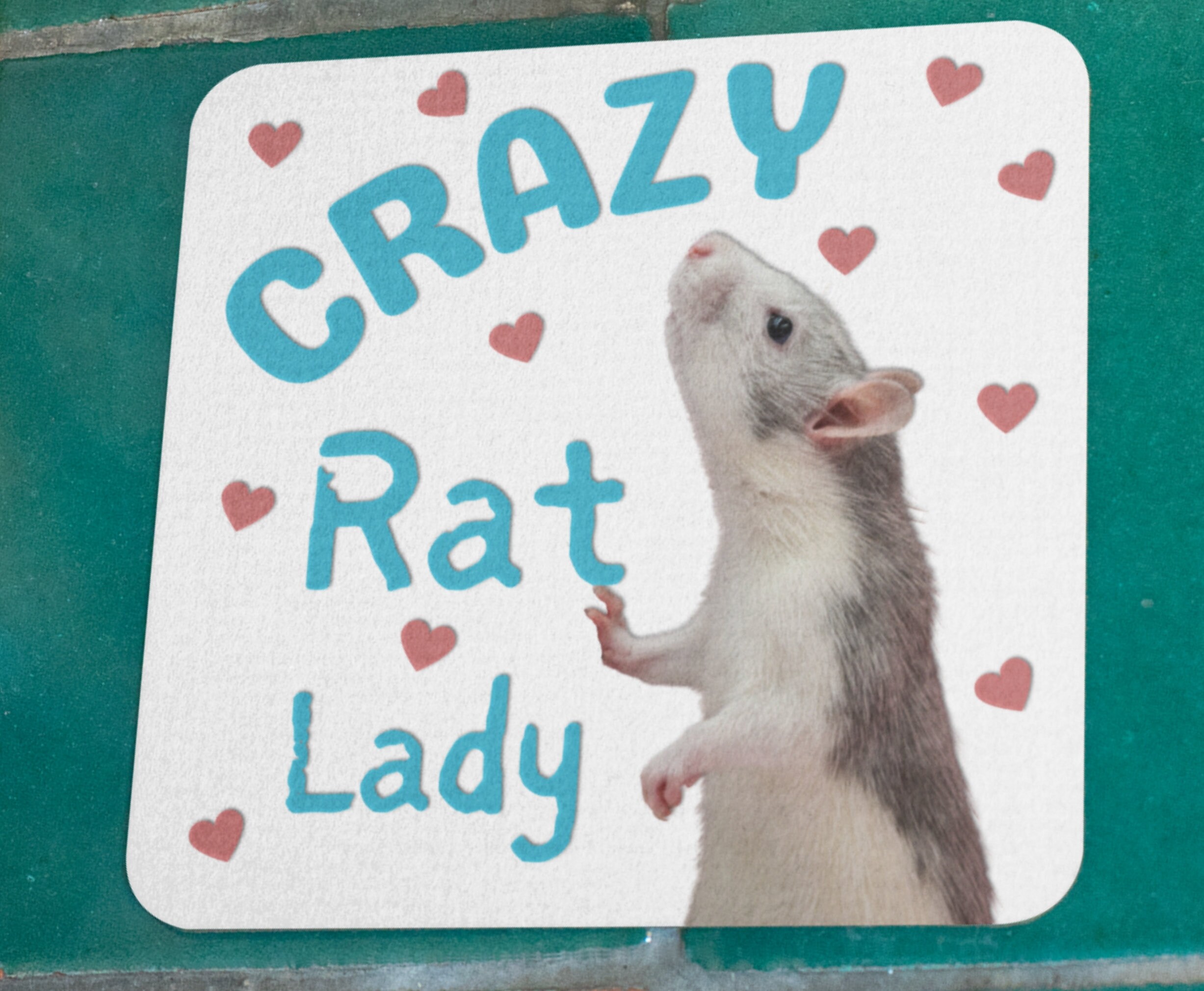 Crazy Rat Lady Coaster Crazy Rat Lady Drinks Coaster Rat - Etsy UK