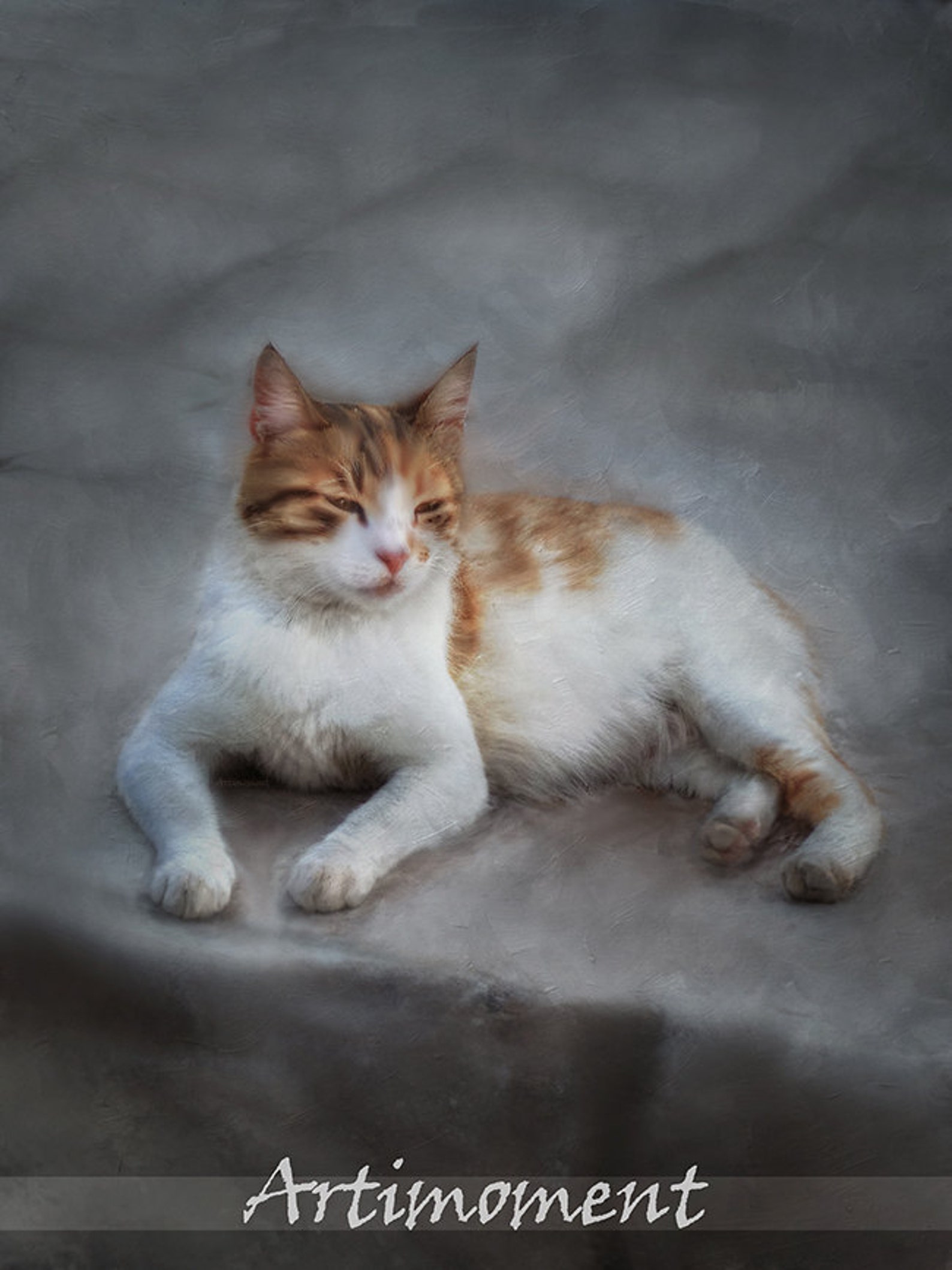 Custom Portrait, Custom Pet Portrait, Custom Cat Portrait, Custom ...