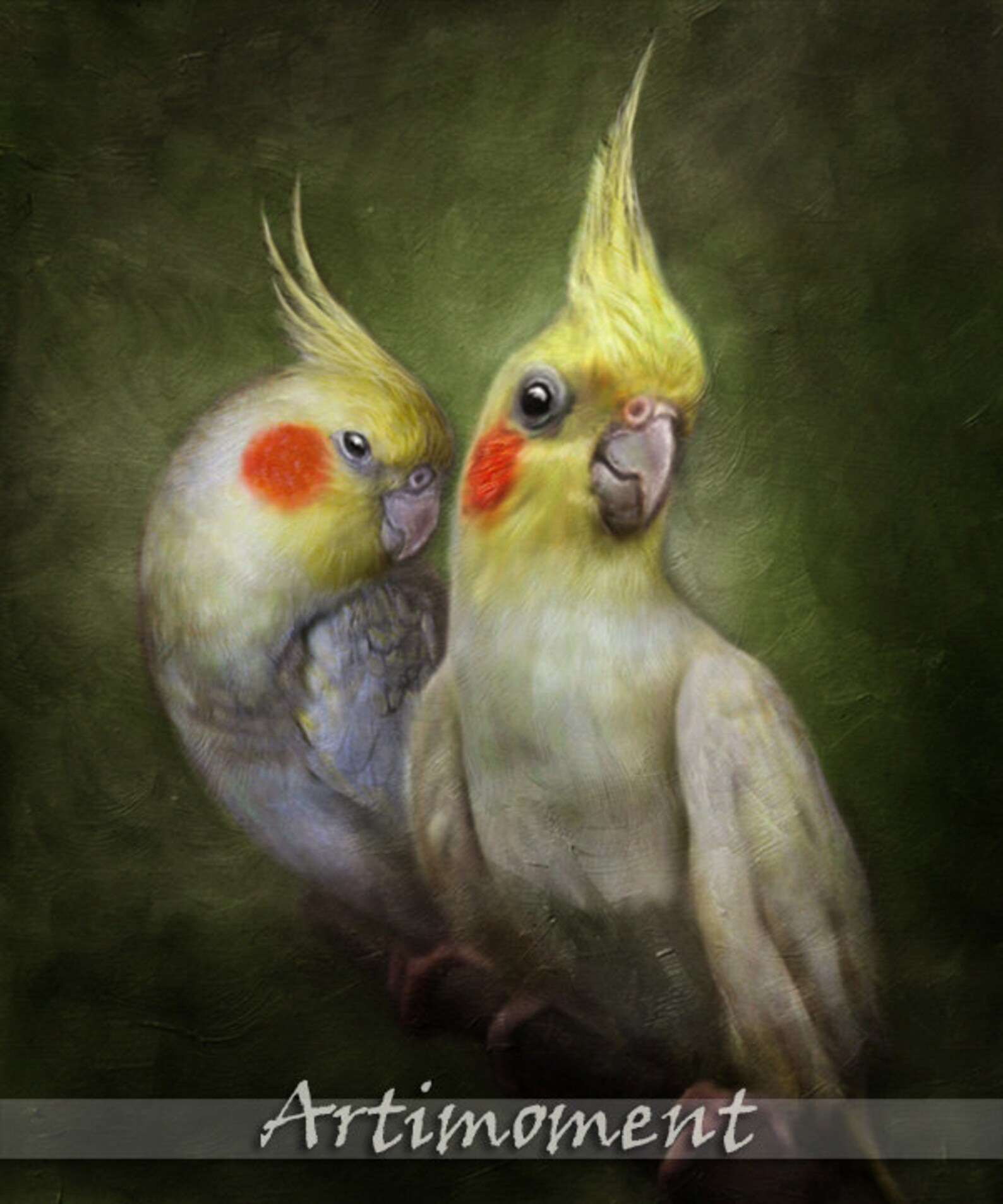 Custom Portrait, Custom Pet Portrait, Parrots Painting, Custom Digital ...