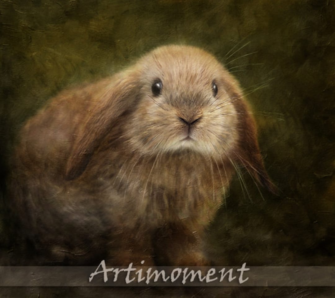 Custom Portrait, Custom Pet Portrait, Personalized Rabbit Portrait ...