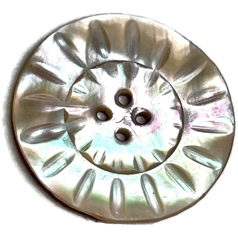 Trochus Shell - Etsy