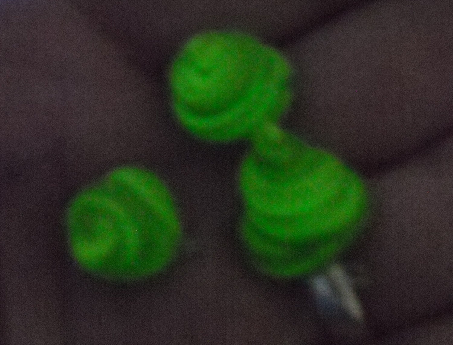 Zombie Poop Necklace Radioactive Glow-in-the-dark Zombie | Etsy