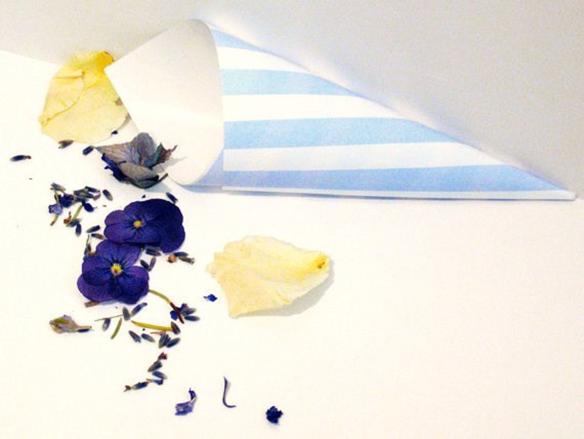 WILDFLOWER PETAL CONES ecofriendly WildflowerFetti™ and | Etsy