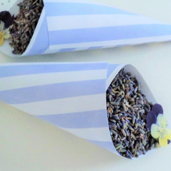 Paper Cones - Etsy