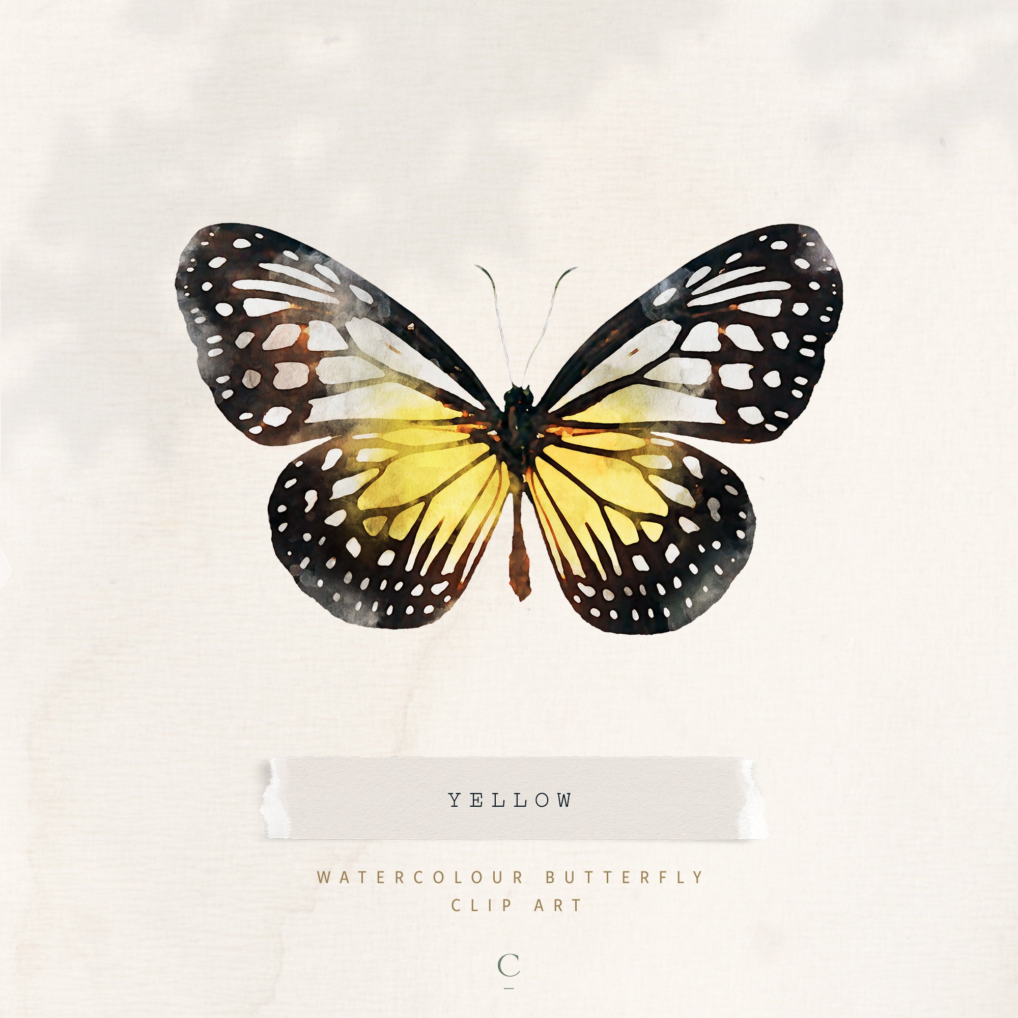 Watercolor Butterfly Clipart Collection, Watercolor Butterfly Png ...