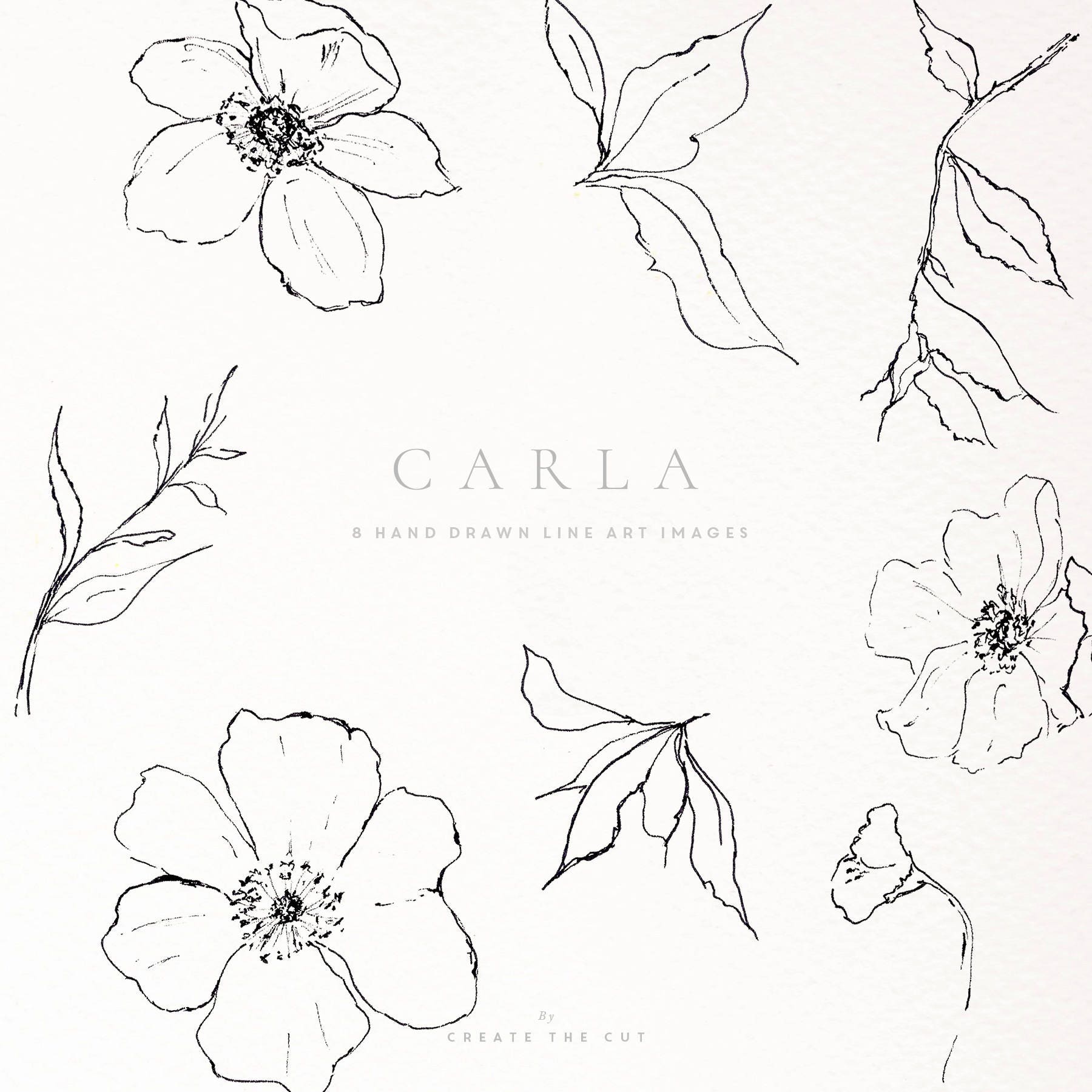 Carla Hand-drawn Fine Art Graphic Images Lacy Transparent - Etsy