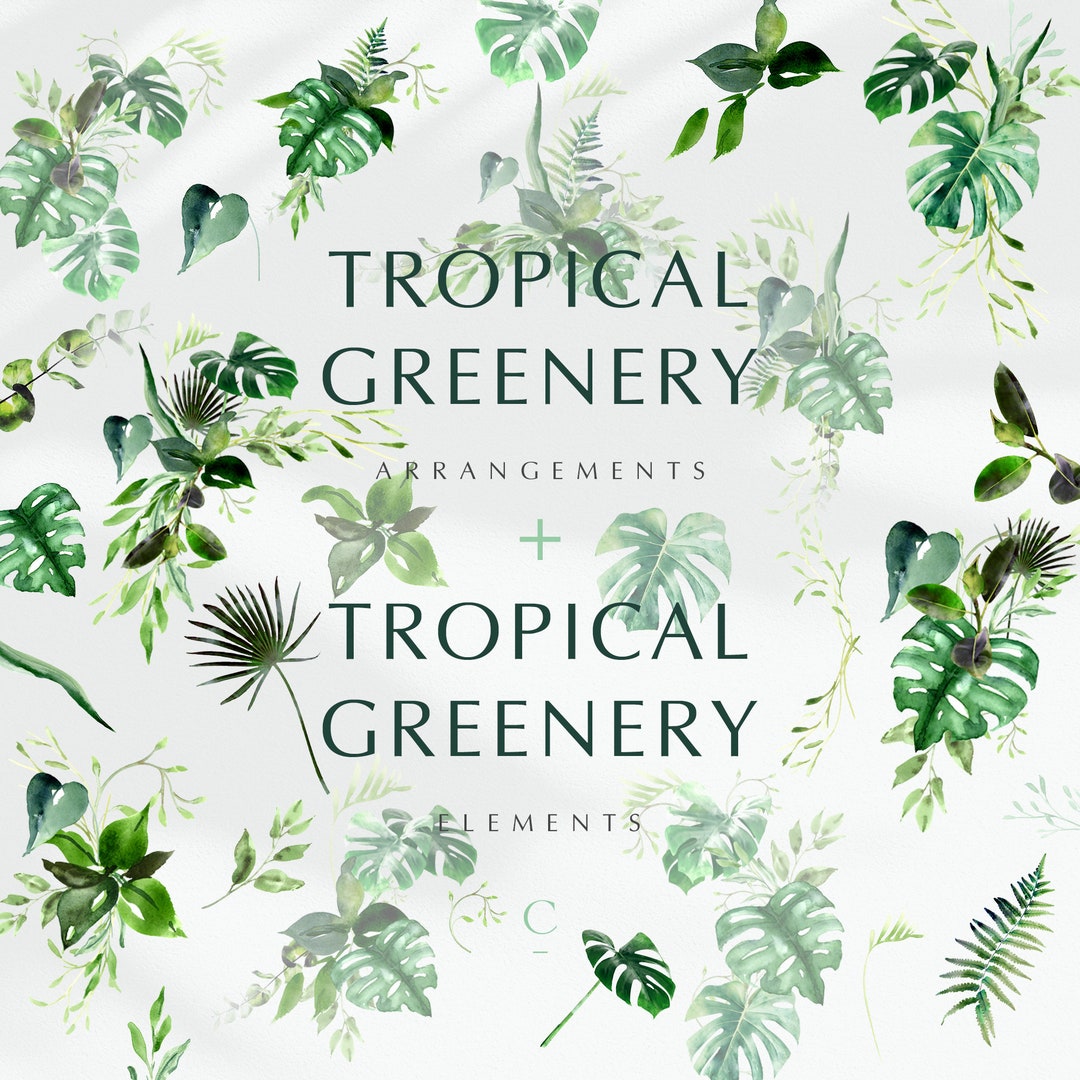 Tropical Greenery Collection & Elements, 18 Watercolor Greenery Png ...