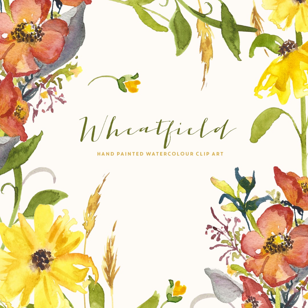 Wheatfield | Watercolour Hand-painted Clip Art | Helianthus Mollis ...
