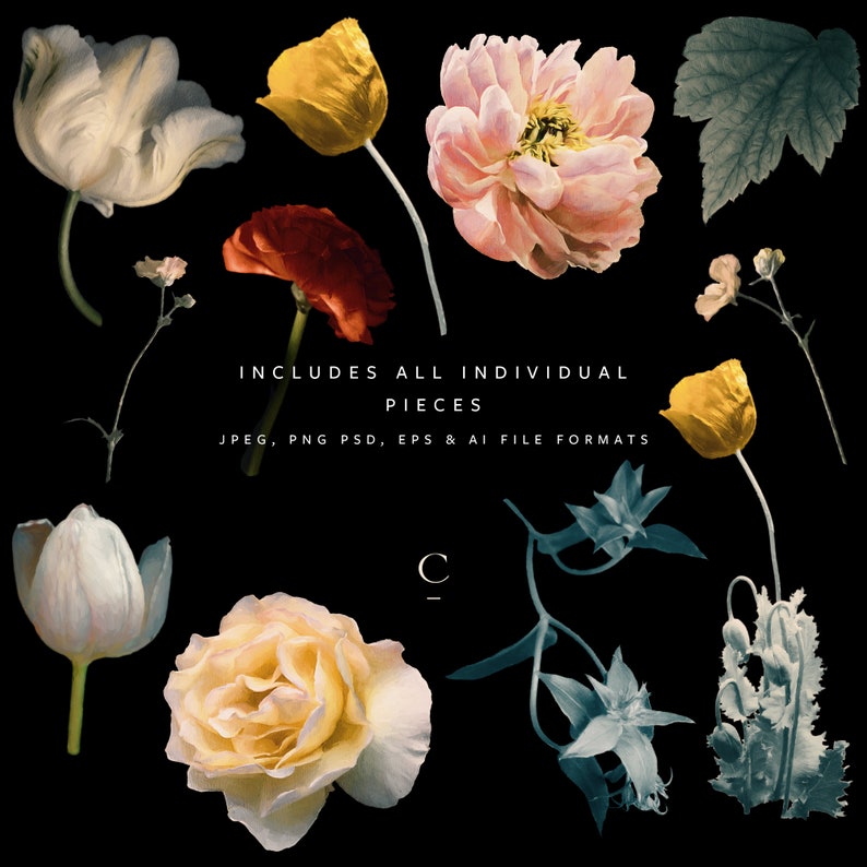 Real Flower Clip Art Floral Clipart Real Flower Vector - Etsy Canada