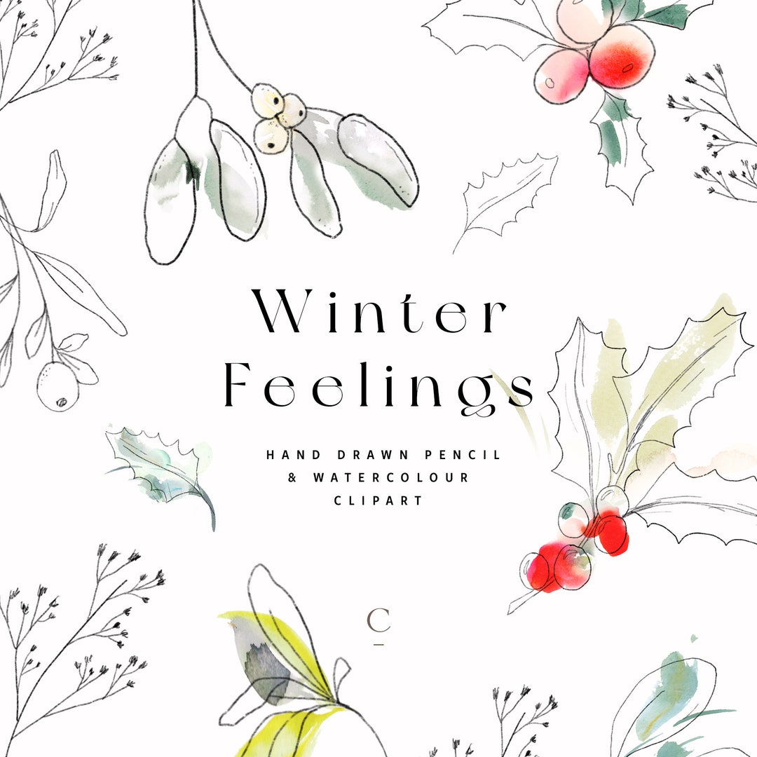 Watercolor Hand Drawn Clipart, Winter Floral Clipart, Transparent PNG ...