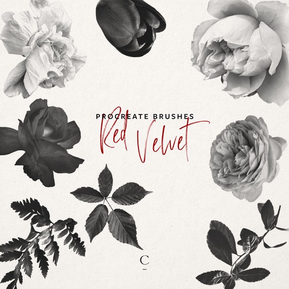 Procreate Flowers Procreate Birth Month Flower Stamps Procreate ...