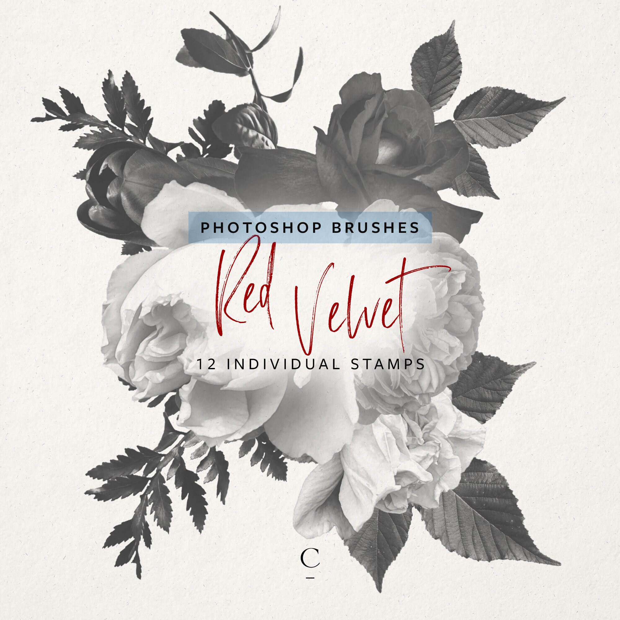 12 Floral Photoshop Brushes Photoshop Stamps Flower Stamps | Etsy