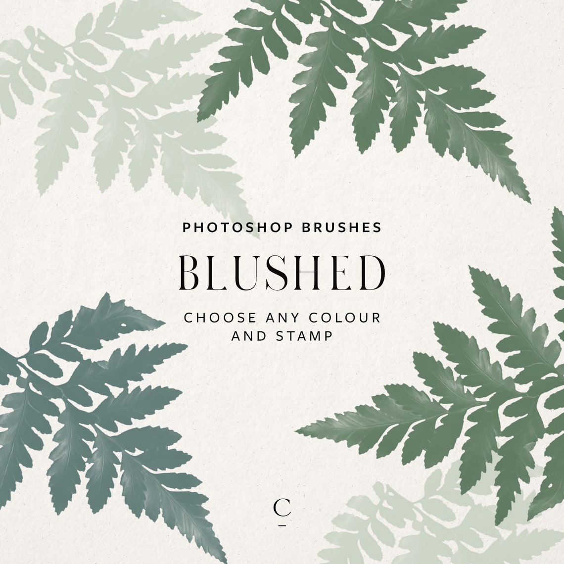 8 Floral Photoshop Brushes - Photoshop Stamps - Flower Stamps ...