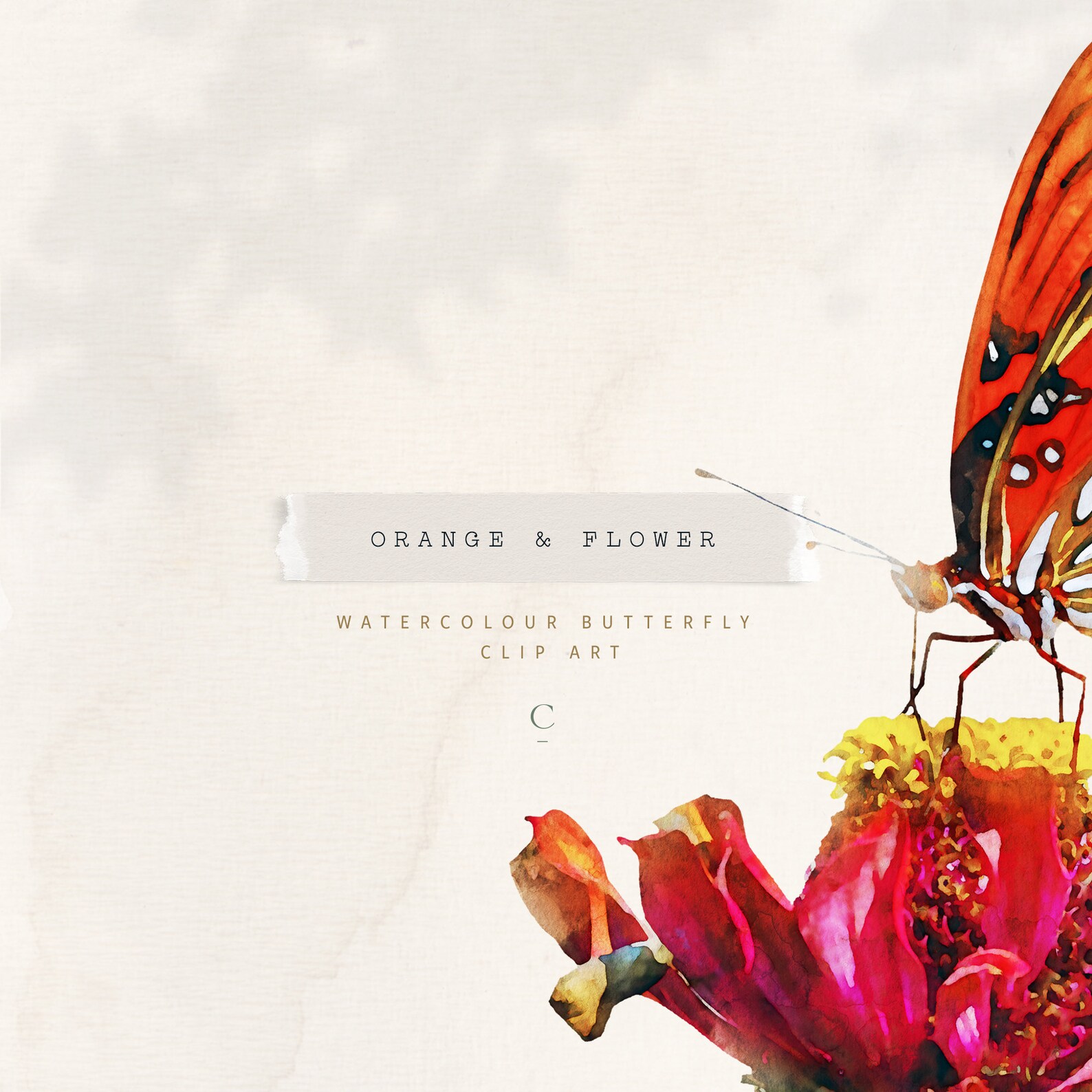 Watercolor Butterfly Clipart Collection Watercolor Butterfly - Etsy